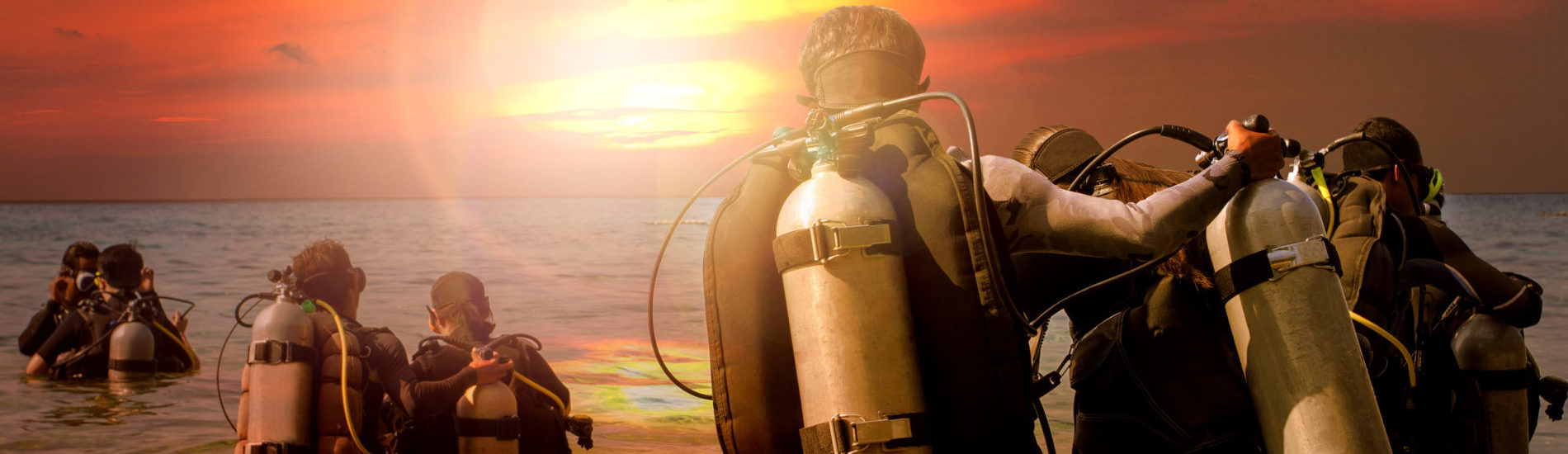 Instructors - International Diving Federation