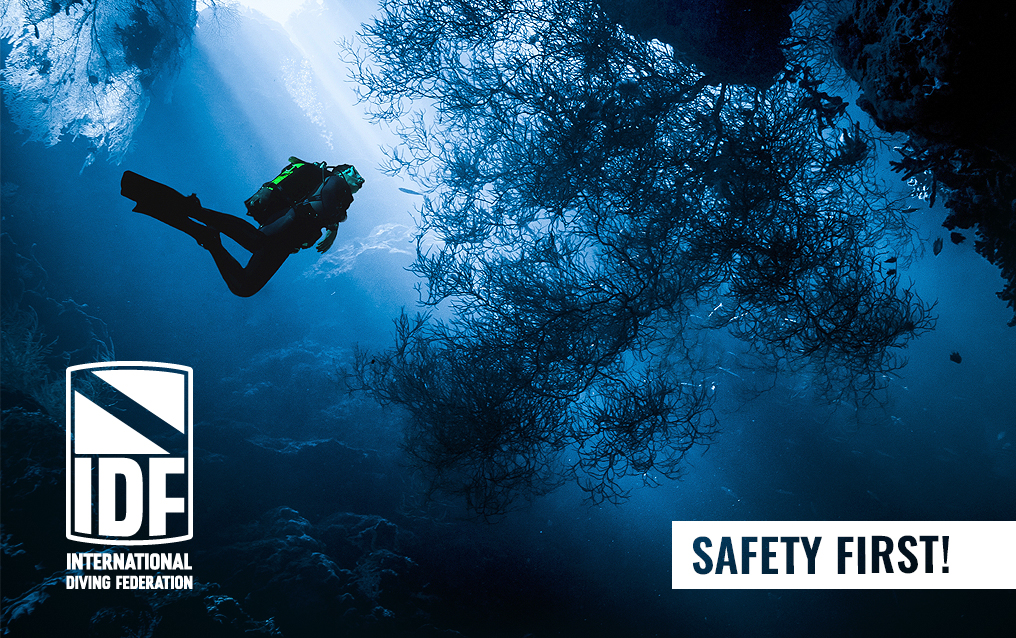 Solo Diver - International Diving Federation